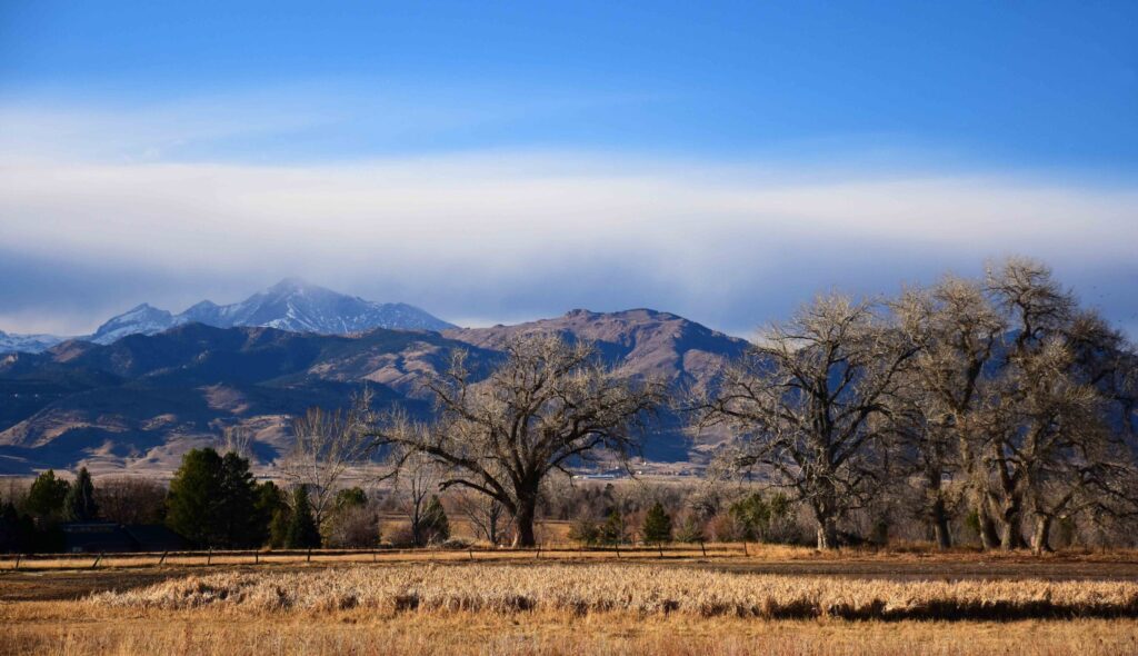 Boulder alerta por sequía: estrategias para conservar agua - Noticias ...